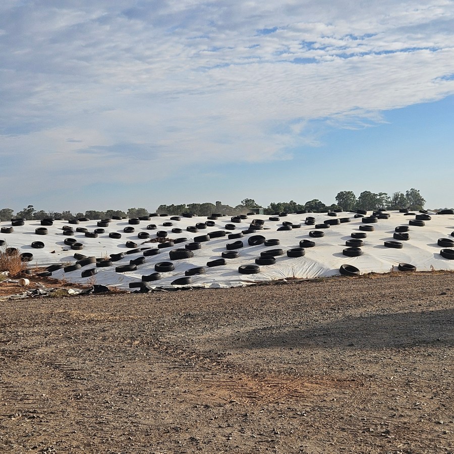 Image Catalogue – Cattle Vet AU