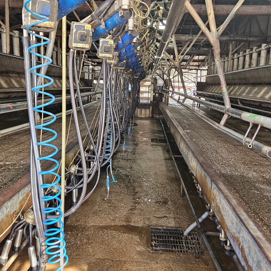 Image Catalogue – Cattle Vet AU